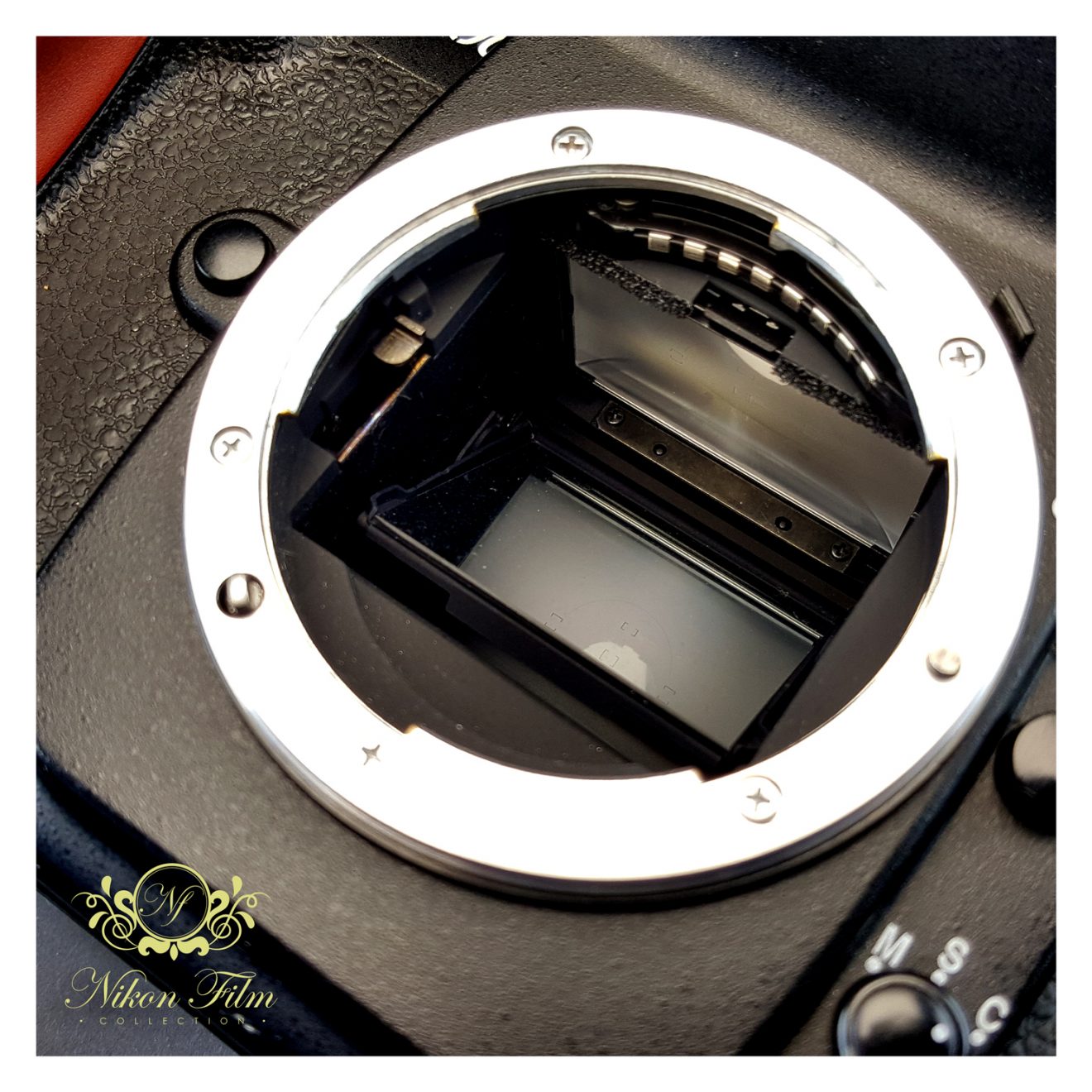 Nikon F100 - Spare Parts - NIKON-FILM